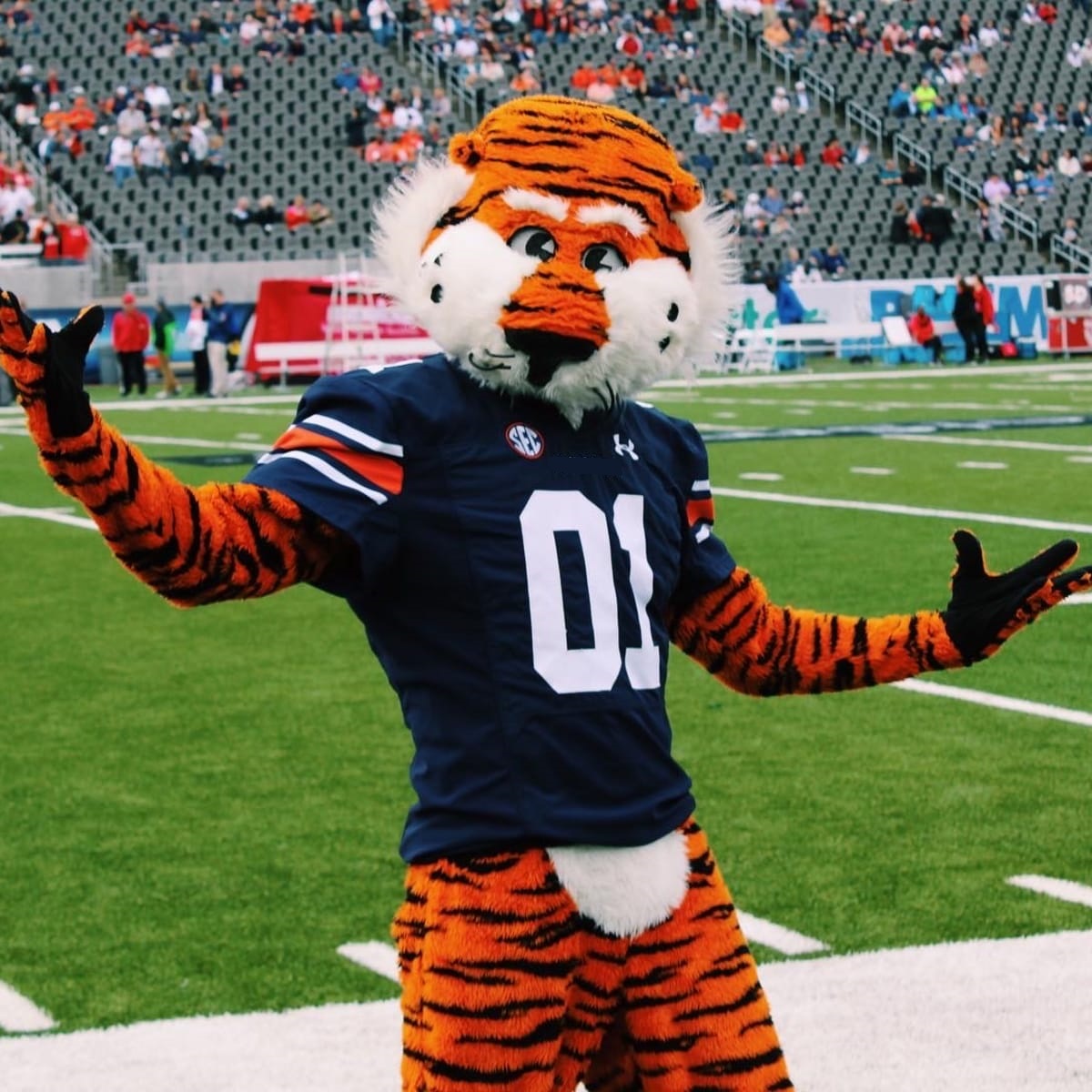 How Well Do You Know Your College Football Mascots: SEC Edition ...